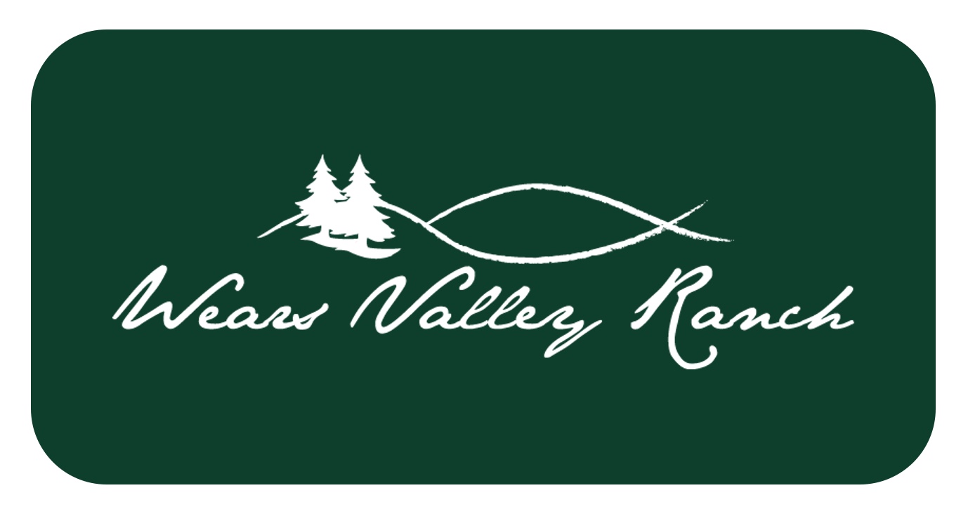 Mentor Program Assistant in Sevierville, TN - Wears Valley Ranch